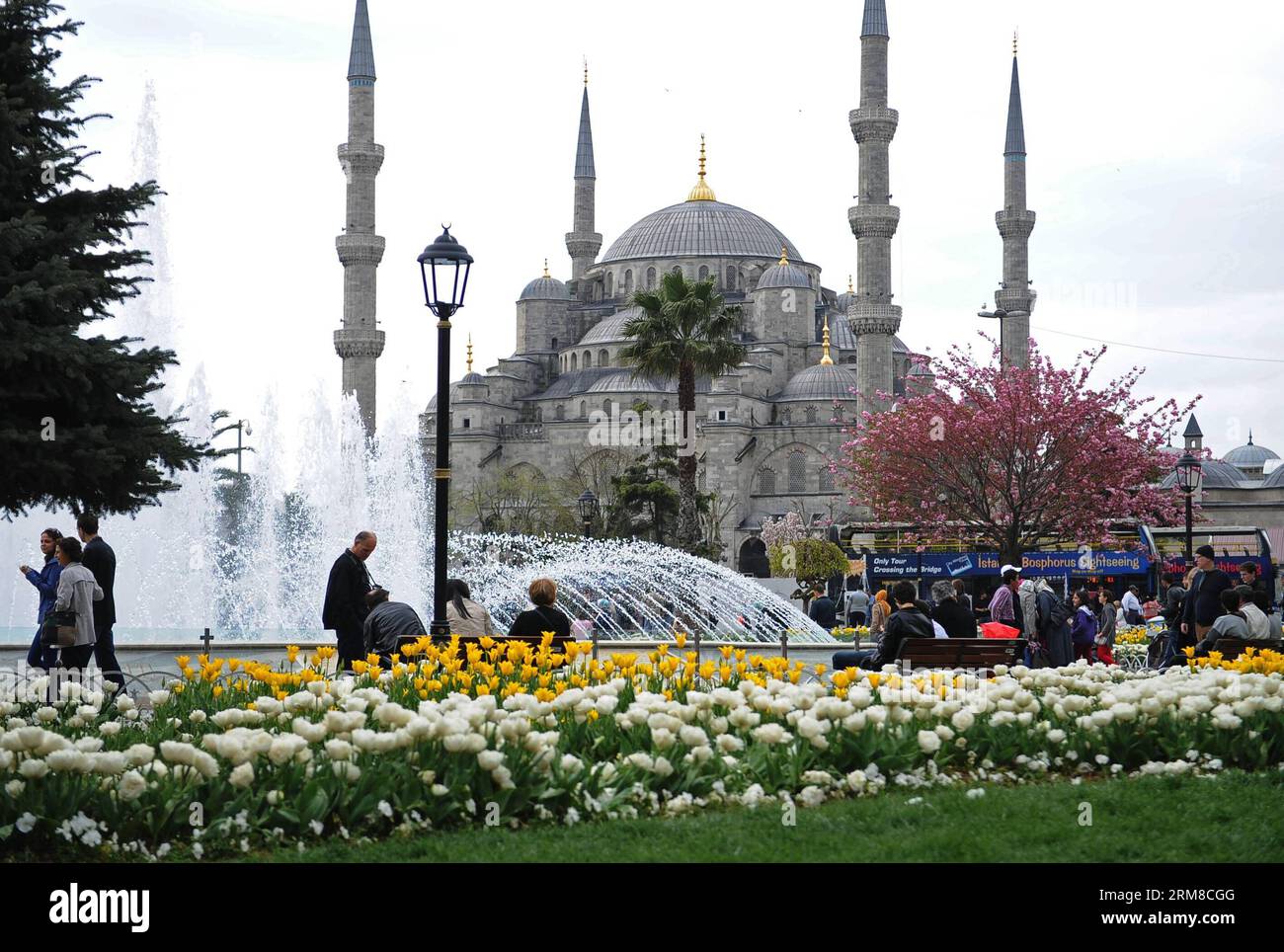 Tupsplanted hi-res stock photography and images - Alamy