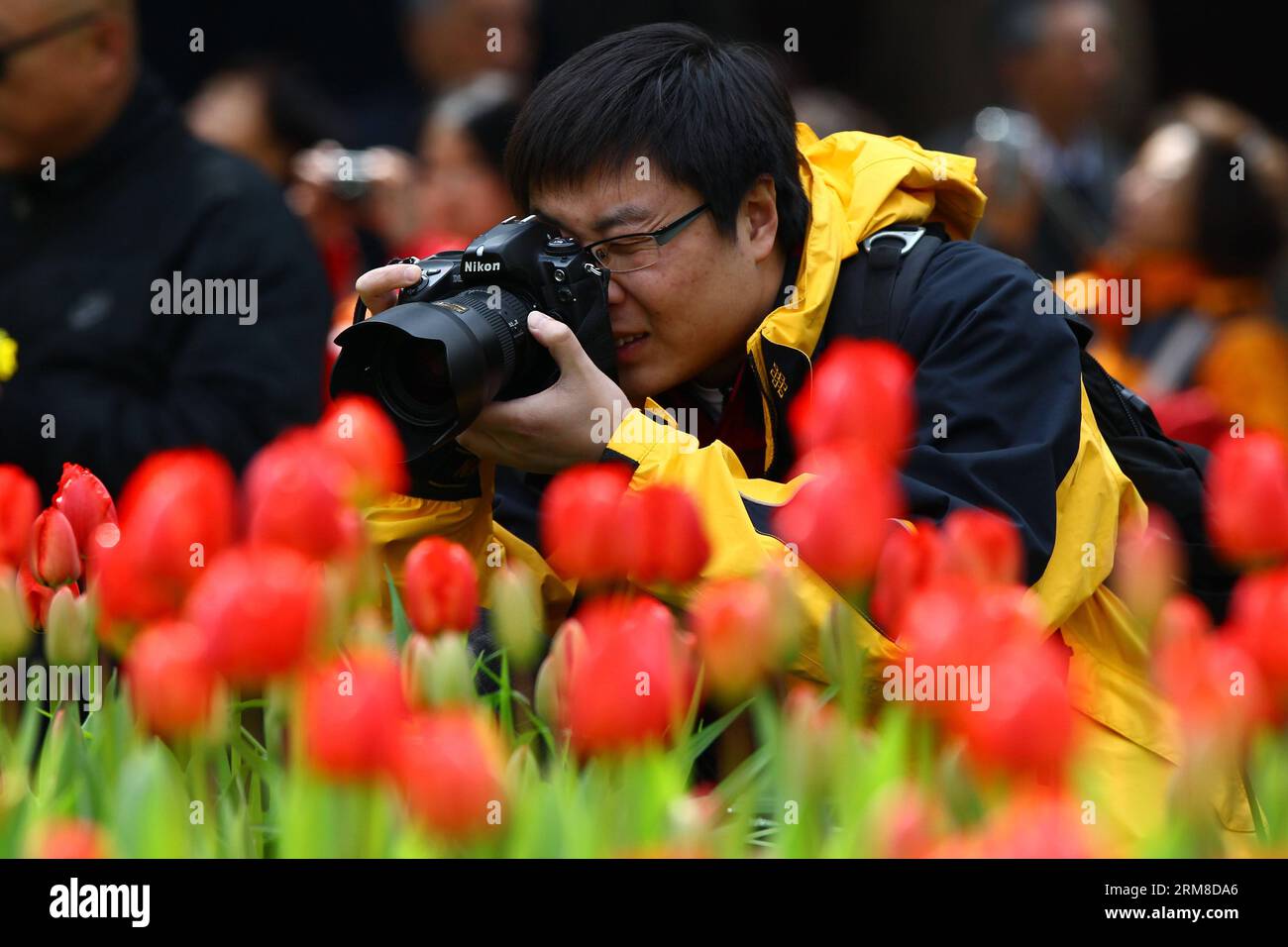 Xi bing hi-res stock photography and images - Alamy