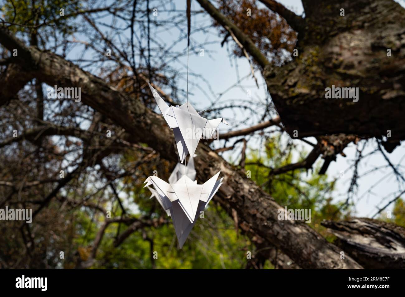 Origami paper birds dove on the string for decor. White color. Handmade ...