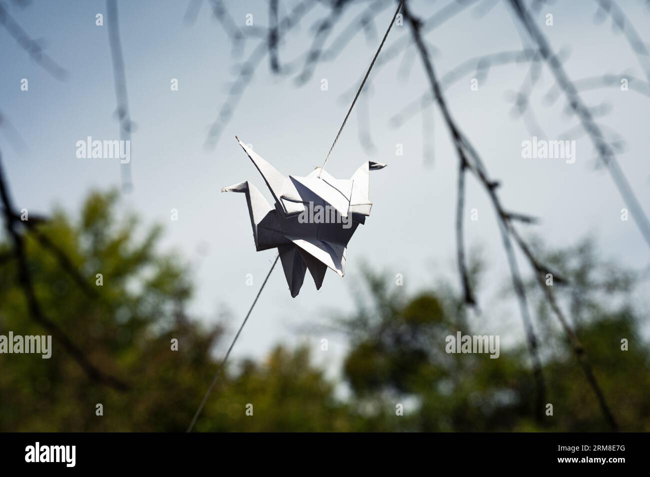 Origami paper birds pigeons on the string for decor. White color ...