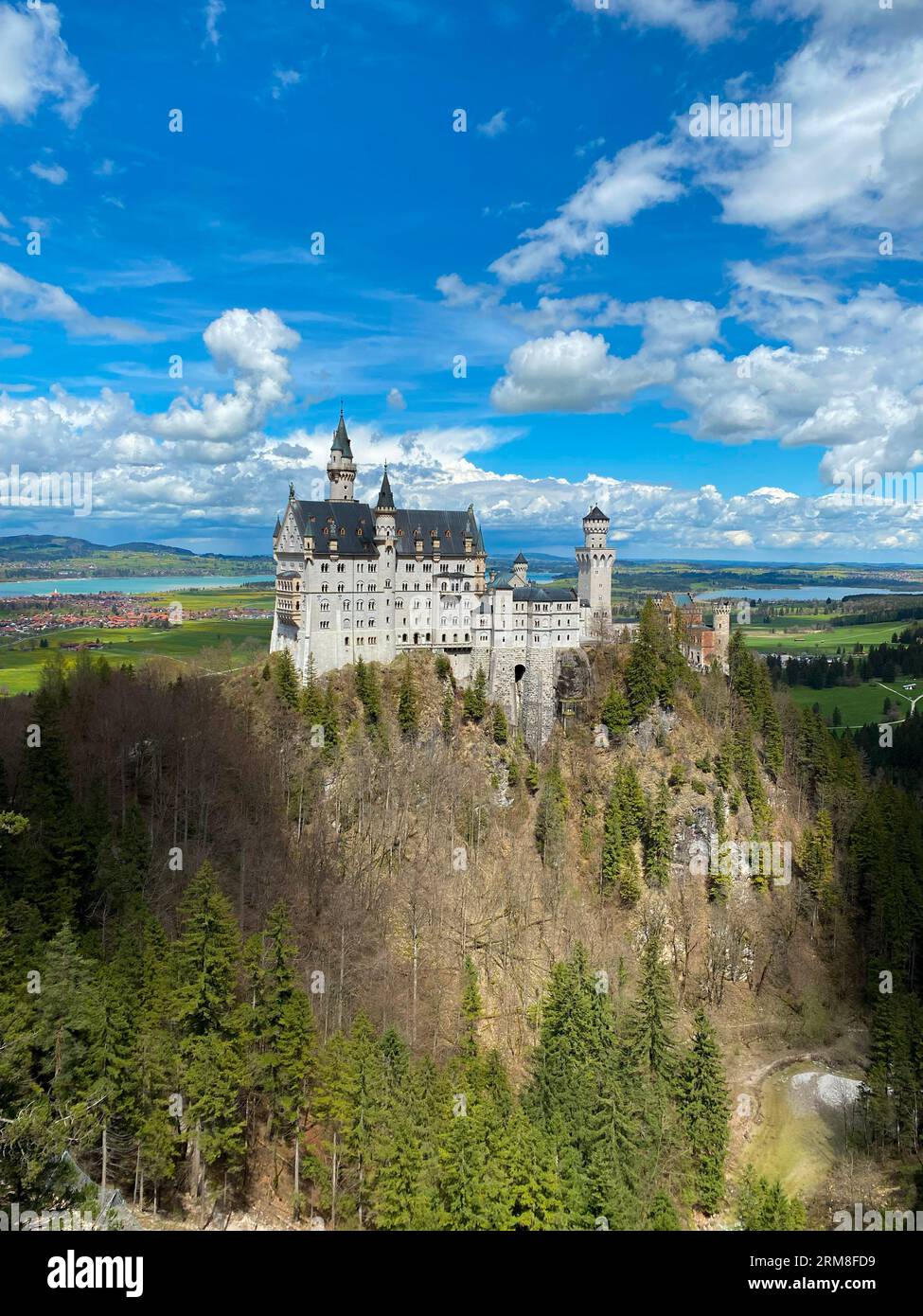Neuschwanstein Castle, a 19th-century palace on the foothills of the ...