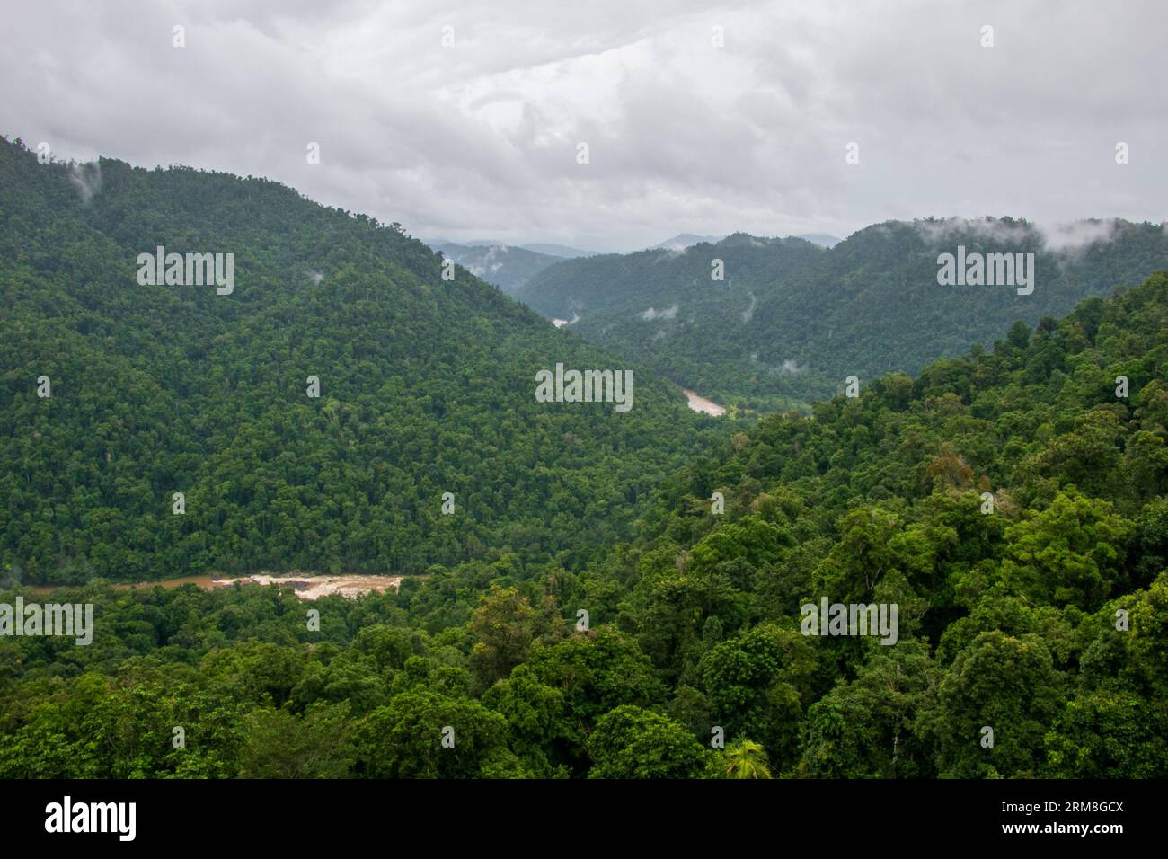 View from Mamu Tropical Skywalk in Far North Queensland‘s Wooroonooran ...