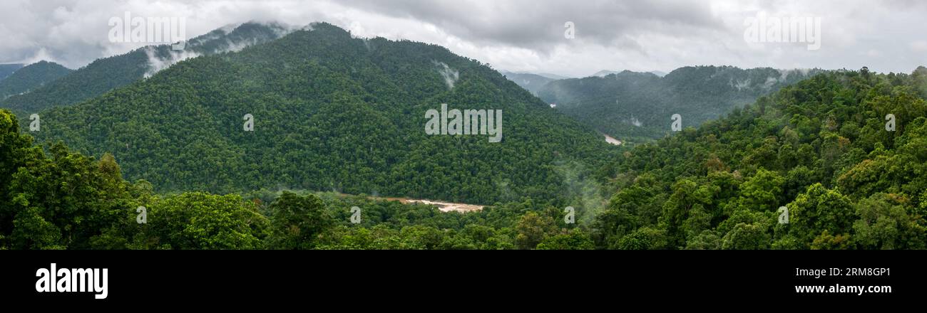 View from Mamu Tropical Skywalk in Far North Queensland‘s Wooroonooran ...