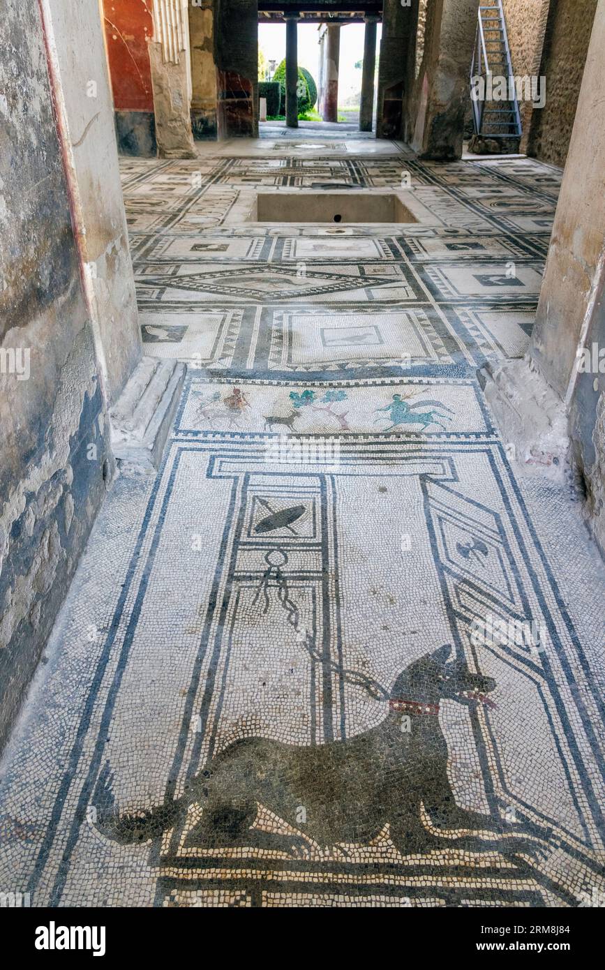 Pompeii Archaeological Site, Campania, Italy. Mosaic of dog guarding ...