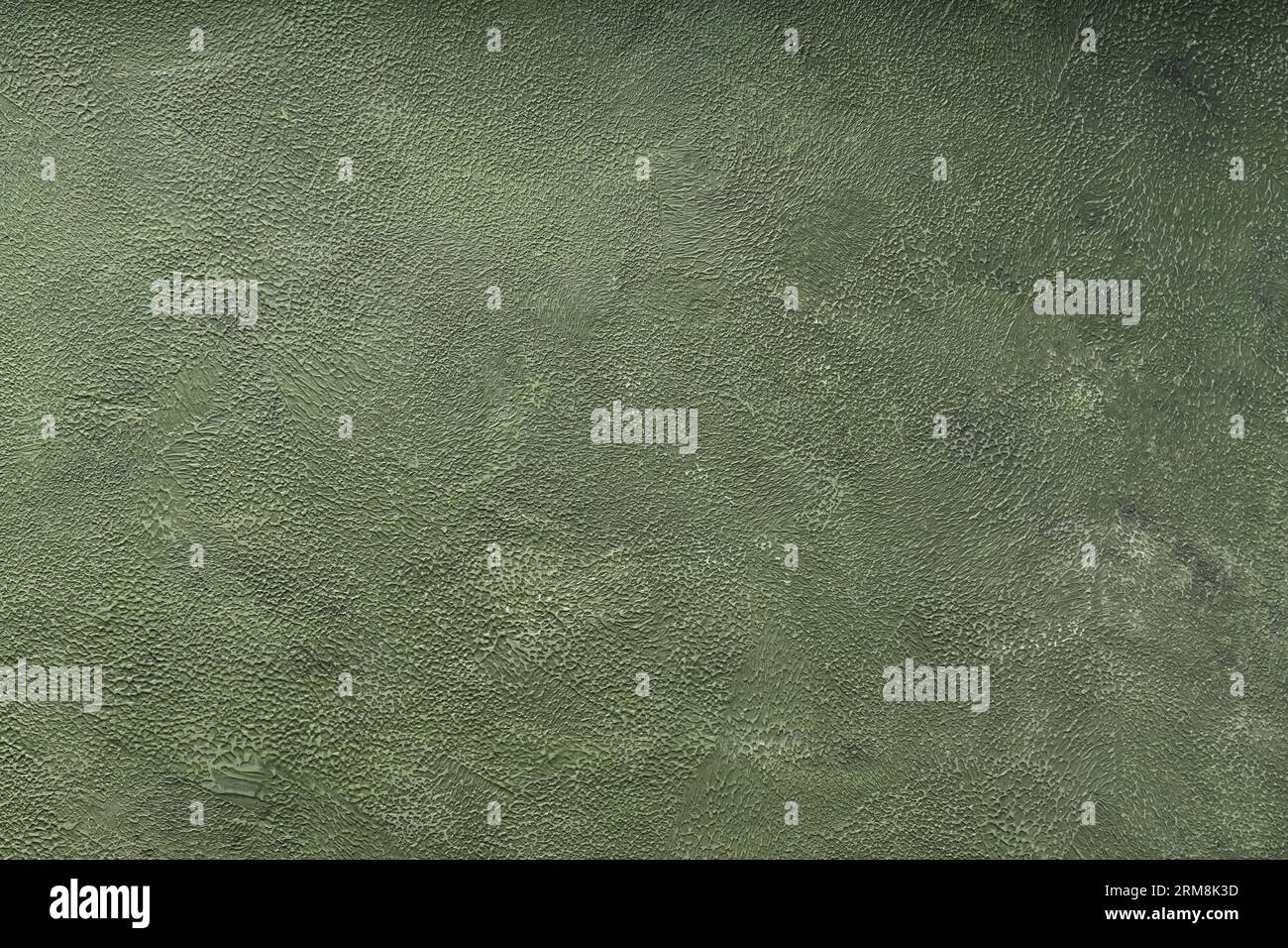 Green painted wall texture. Empty and clean green concrete wall Stock ...