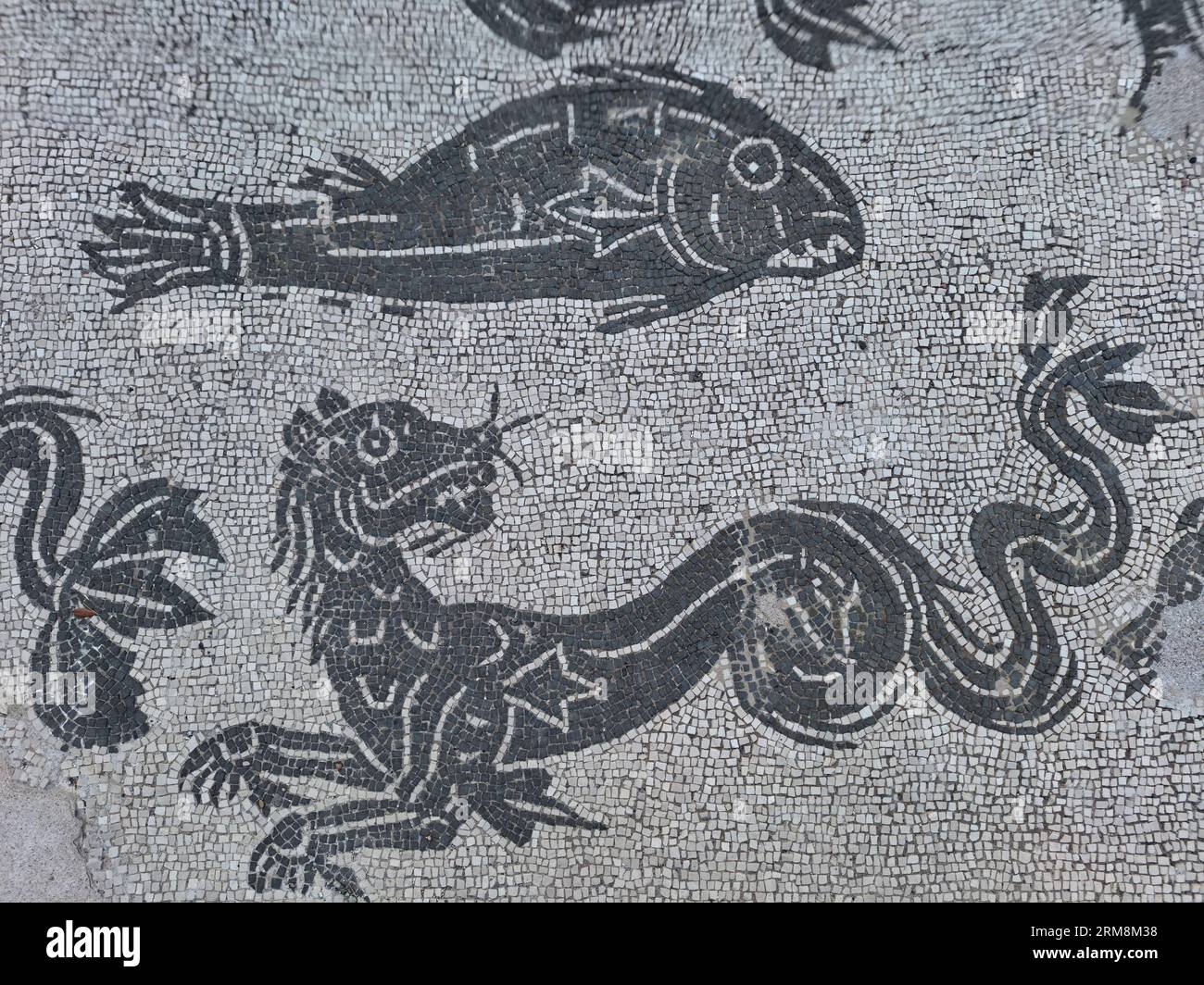 Closeup view of a mosaic in Villa di Plinio in Ostia. Rome, Italy Stock ...