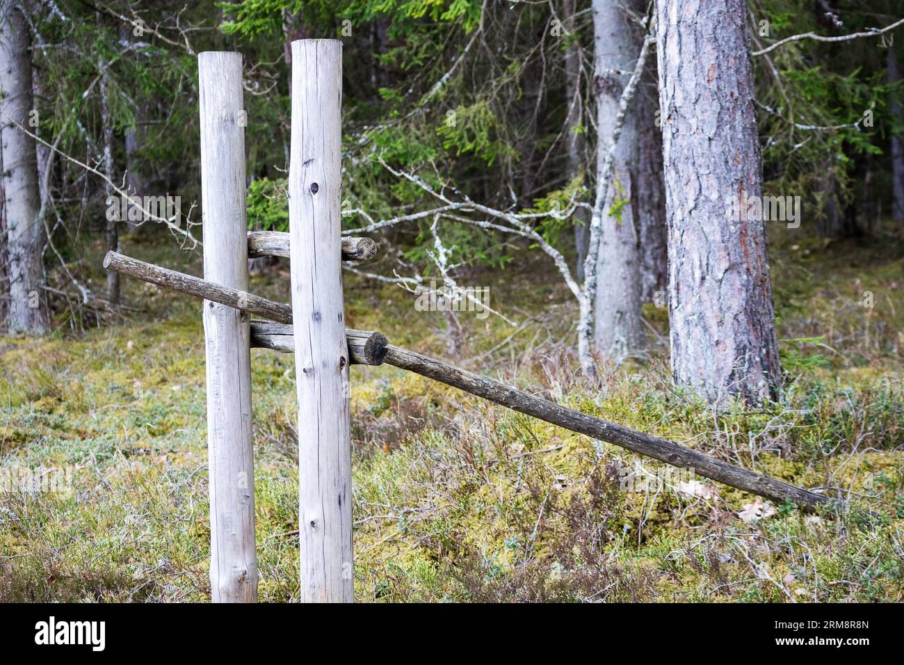 Forest boundary gate hi-res stock photography and images - Alamy