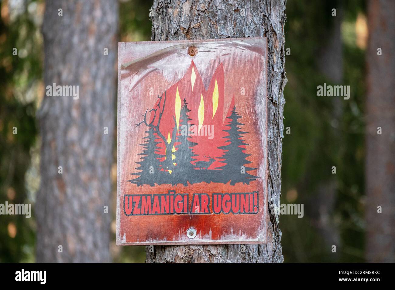 fire warning sign put on a tree in the forest Stock Photo - Alamy