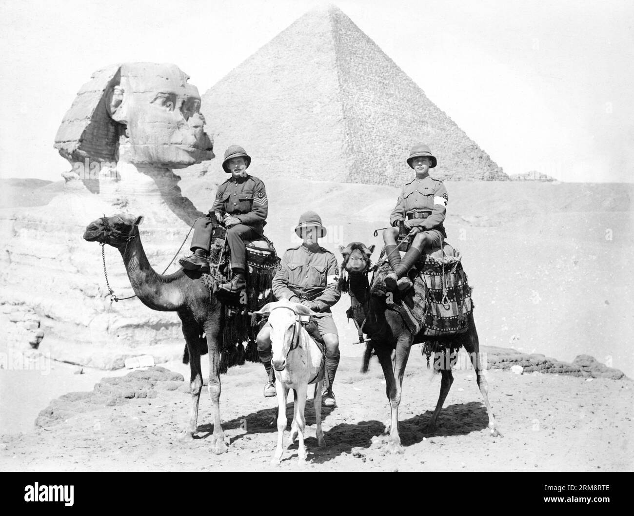 Three members of the British Army Medical Corps posing on camels next ...
