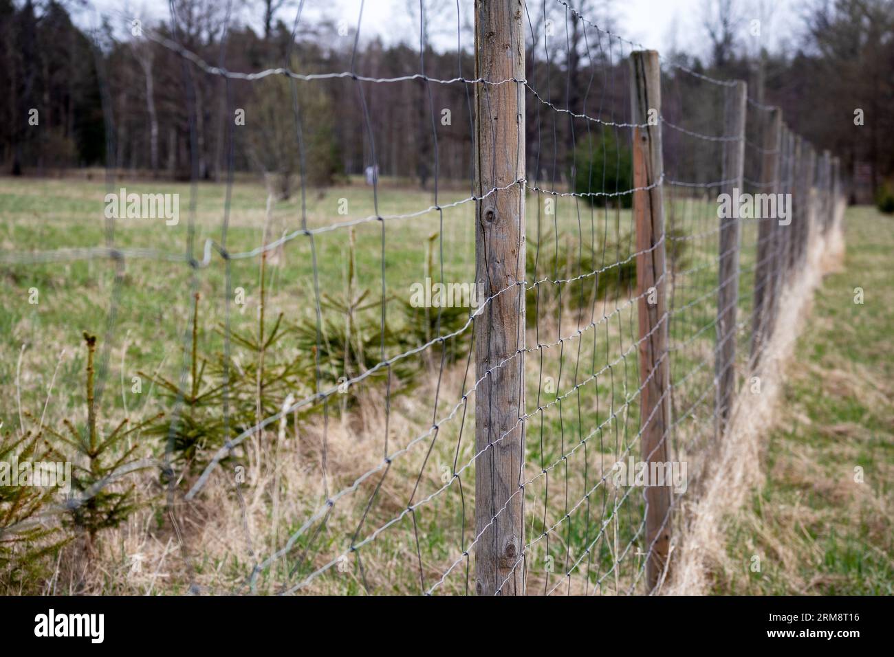Freedom green metallic hi-res stock photography and images - Alamy
