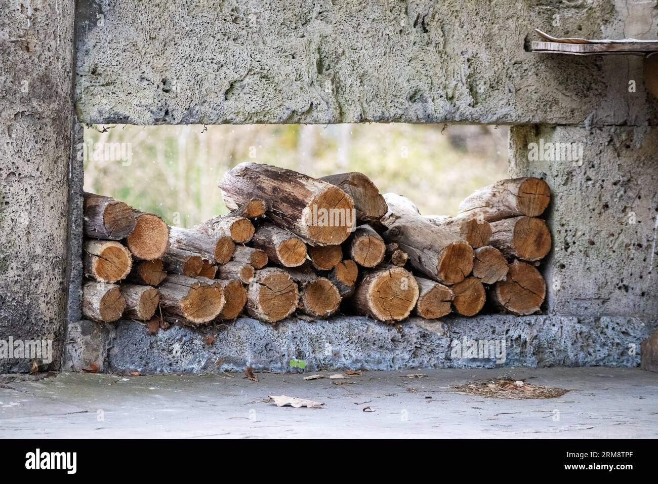 pile of firewood between concrete walls Stock Photo - Alamy