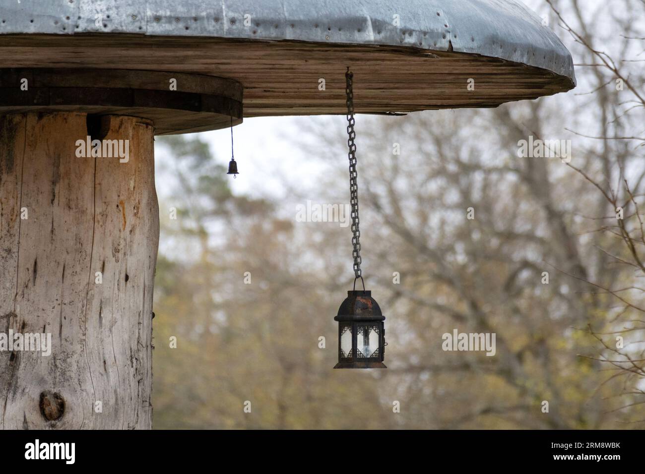 Hanging tree lamp hi-res stock photography and images - Alamy