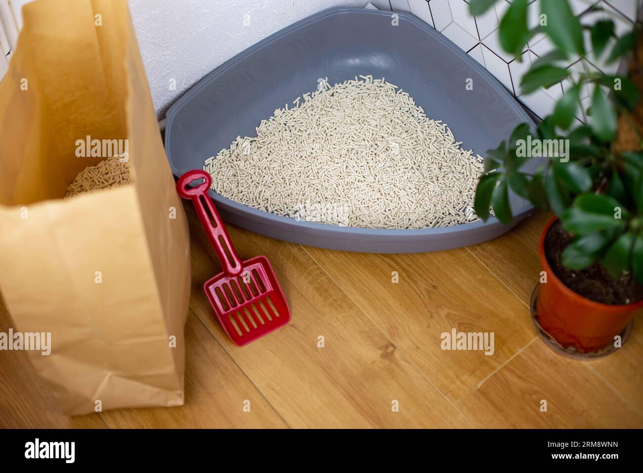 Gray plastic corner cat tray with light filler granules, standing on ...