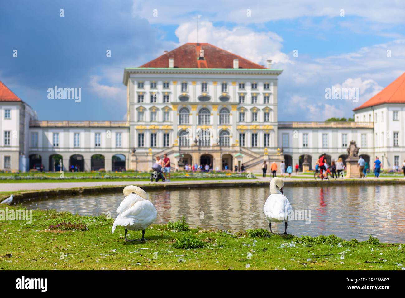 Swans near Nymphenburg Palace in summer, Munich, Germany, Europe. This ...