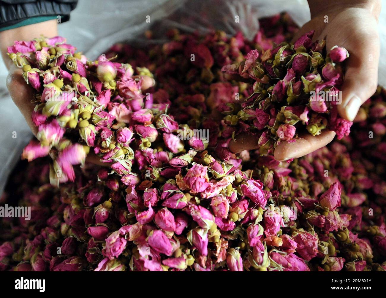 China yuna xuawei rosescn hi-res stock photography and images - Alamy