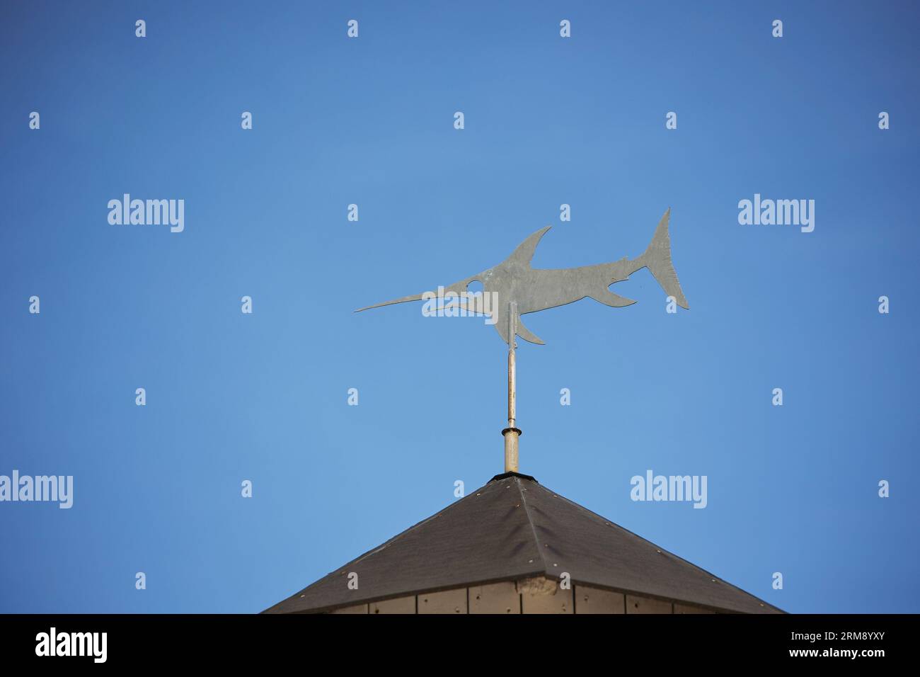 Iron fish compass hi-res stock photography and images - Alamy