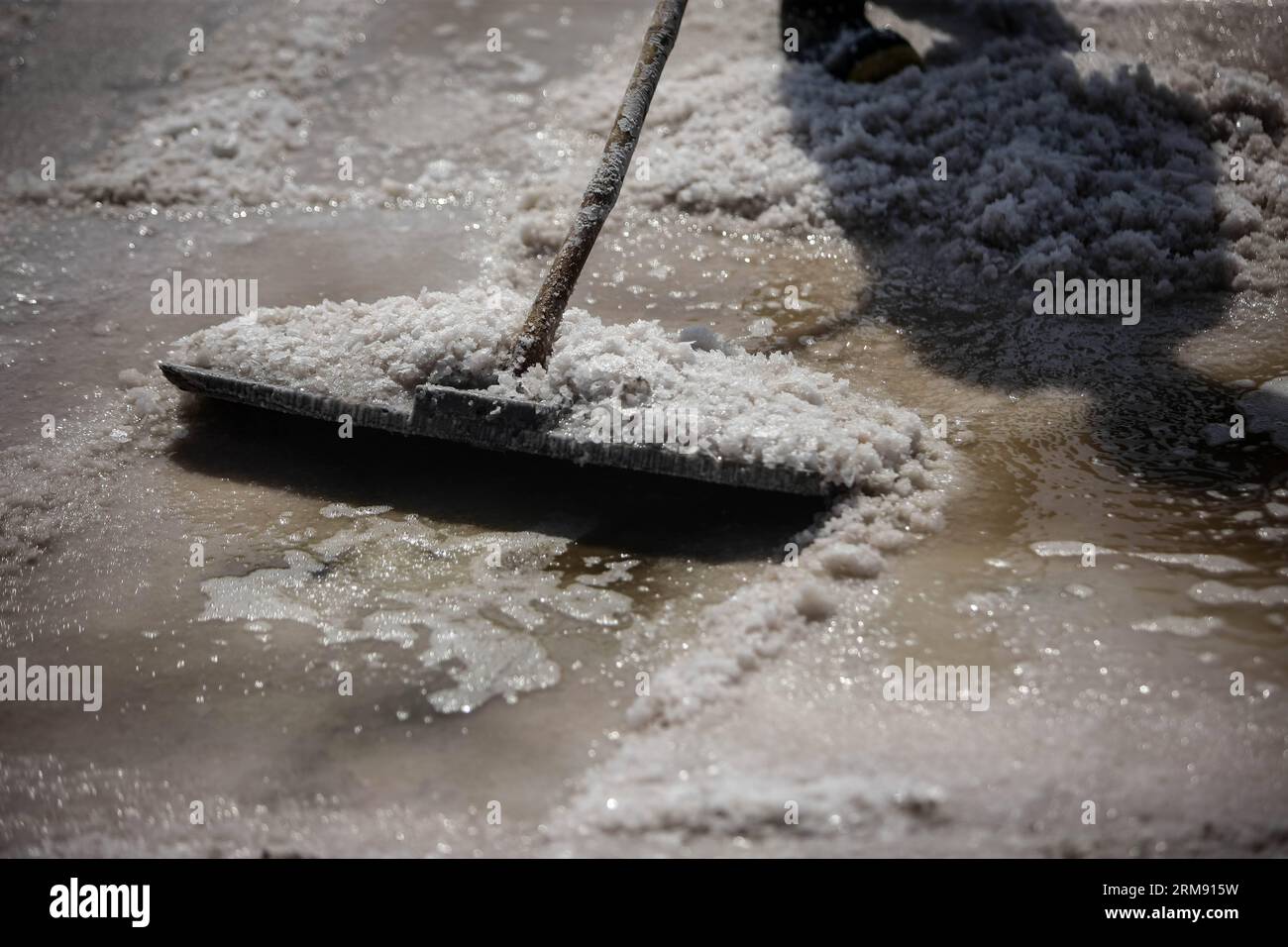 (140502) -- GUJARAT, (Xinhua) -- A laborer collects the raw salt at an ...