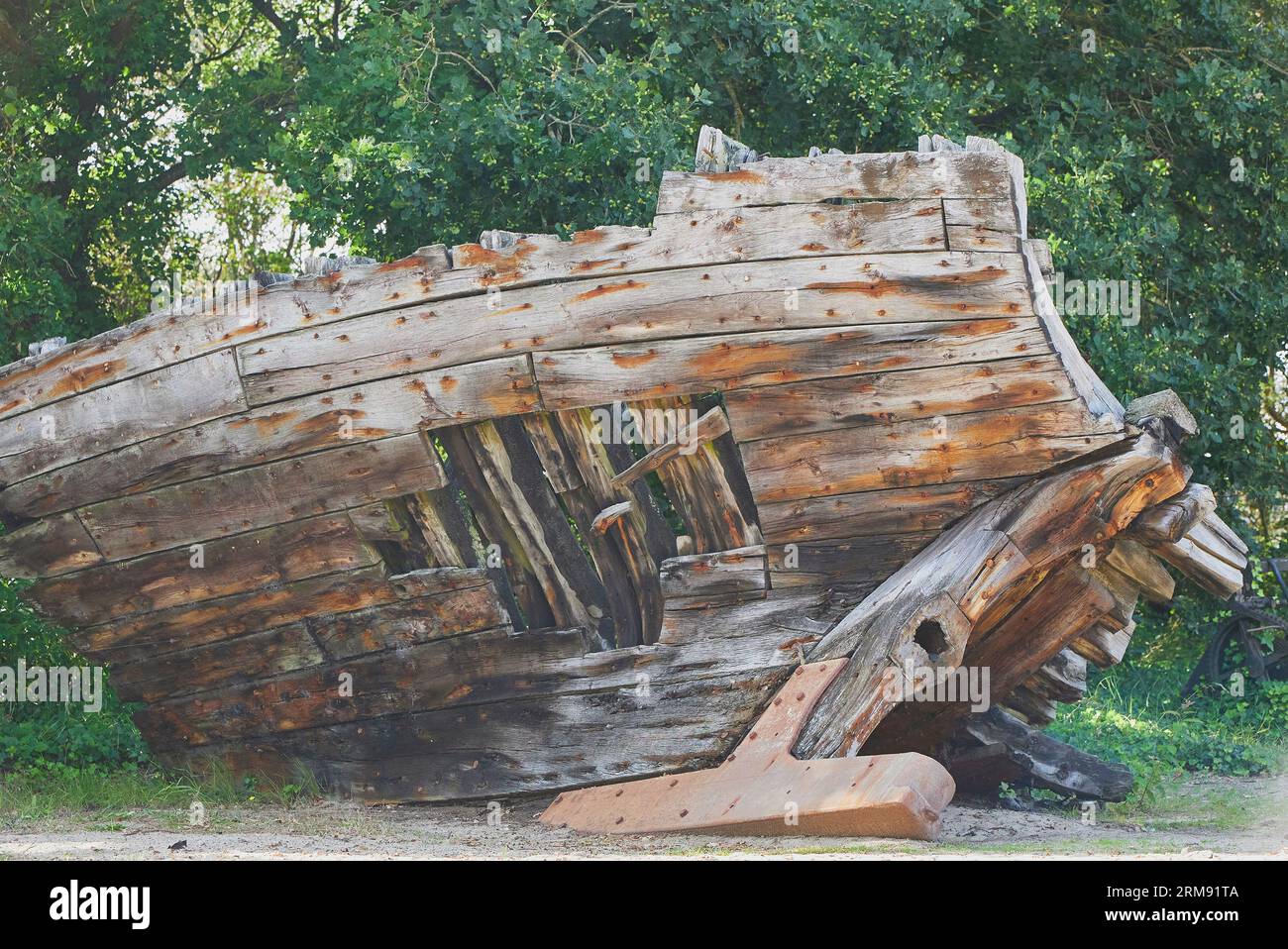 The rotten remains of an old wooden ship in Denmark Stock Photo - Alamy