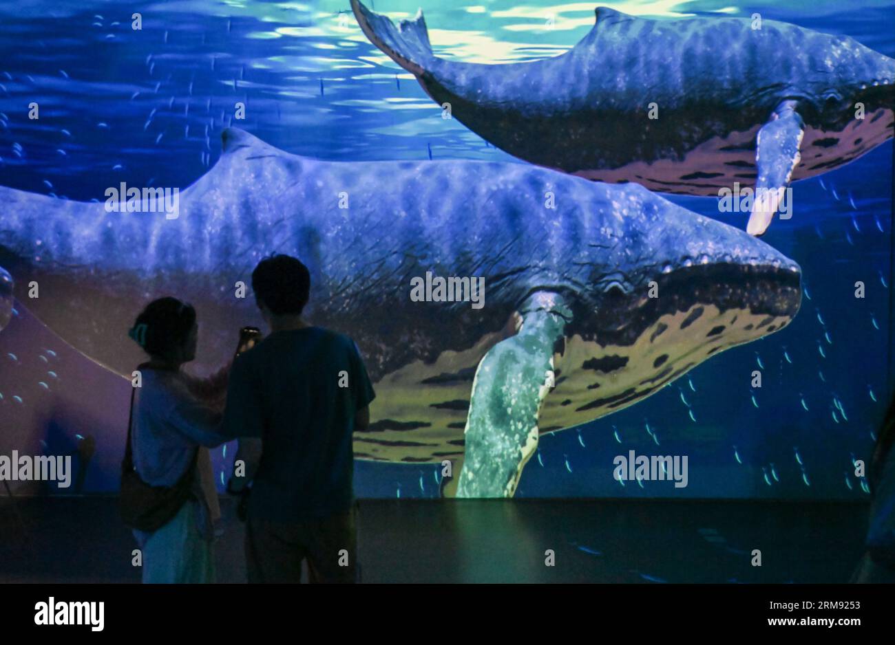 Tianjin. 26th Aug, 2023. People view virtual whales at a whale-themed ...