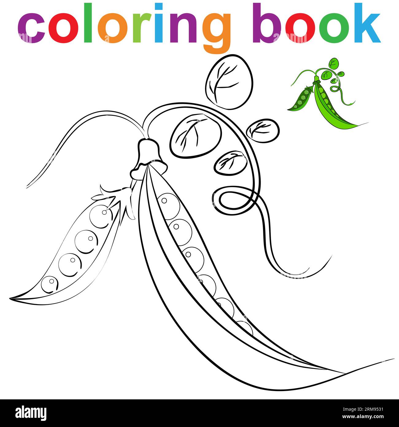 Coloring book page template with peas in pods, for kids .Vector ...