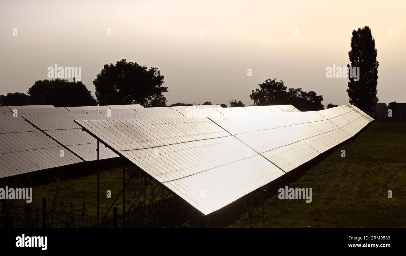 Solar panels at sunrise with silhouetted trees in widescreen format ...