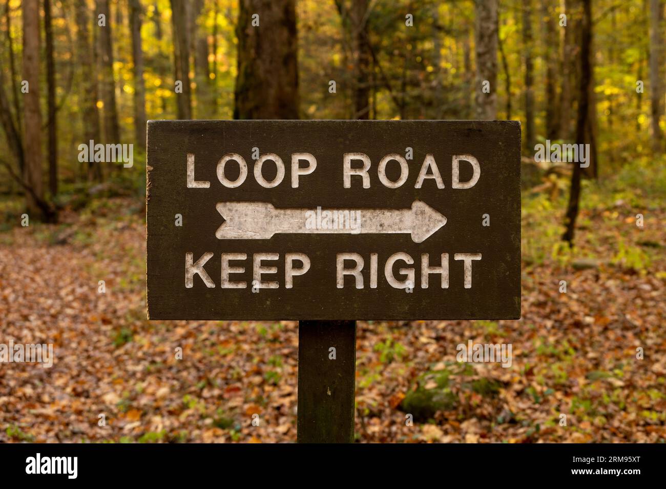 Loop Road Sign Directs Drivers to the Right in Autumn Stock Photo - Alamy