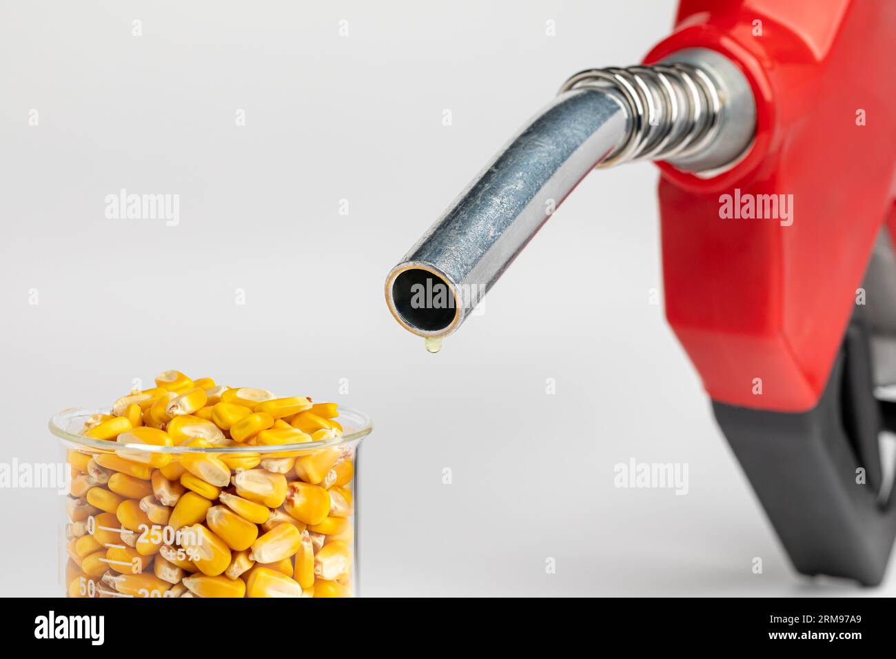 Ethanol gasoline dripping from fuel nozzle with corn. Biofuel ...