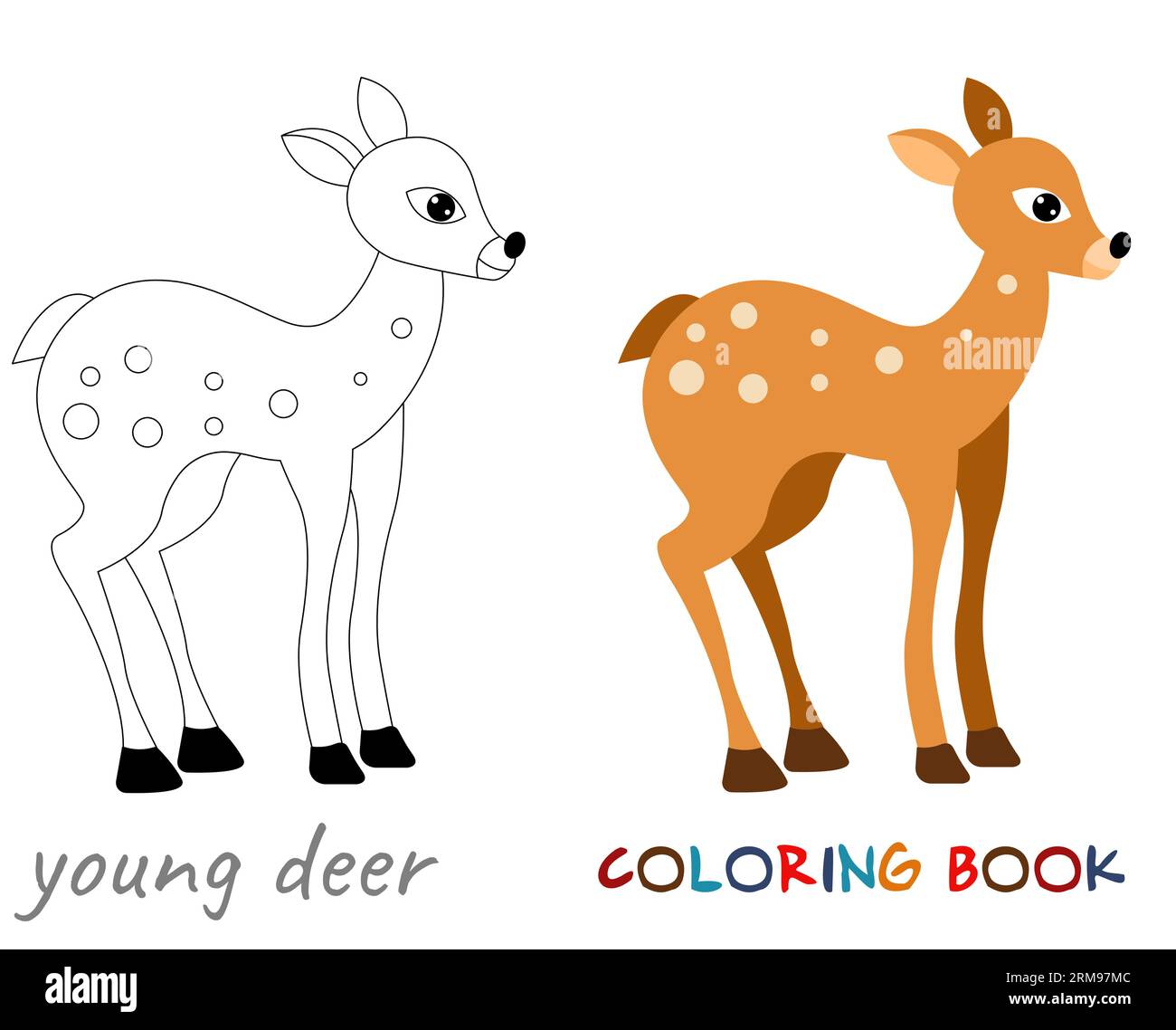 Cute young deer. Forest animals. Coloring book for children. Vector ...