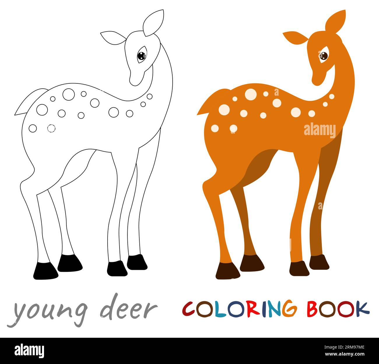 Vector illustration of a fawn on a white background. Forest animals ...