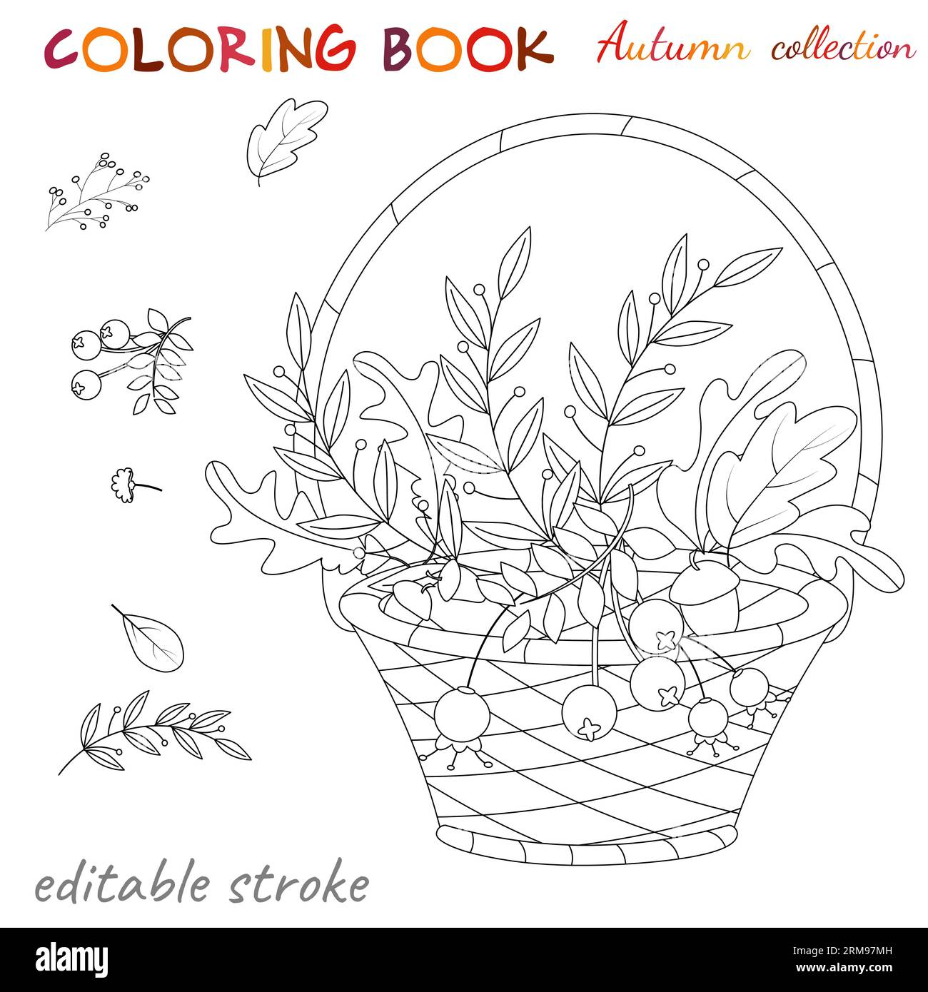 Acorns clip art line drawing Cut Out Stock Images & Pictures - Alamy