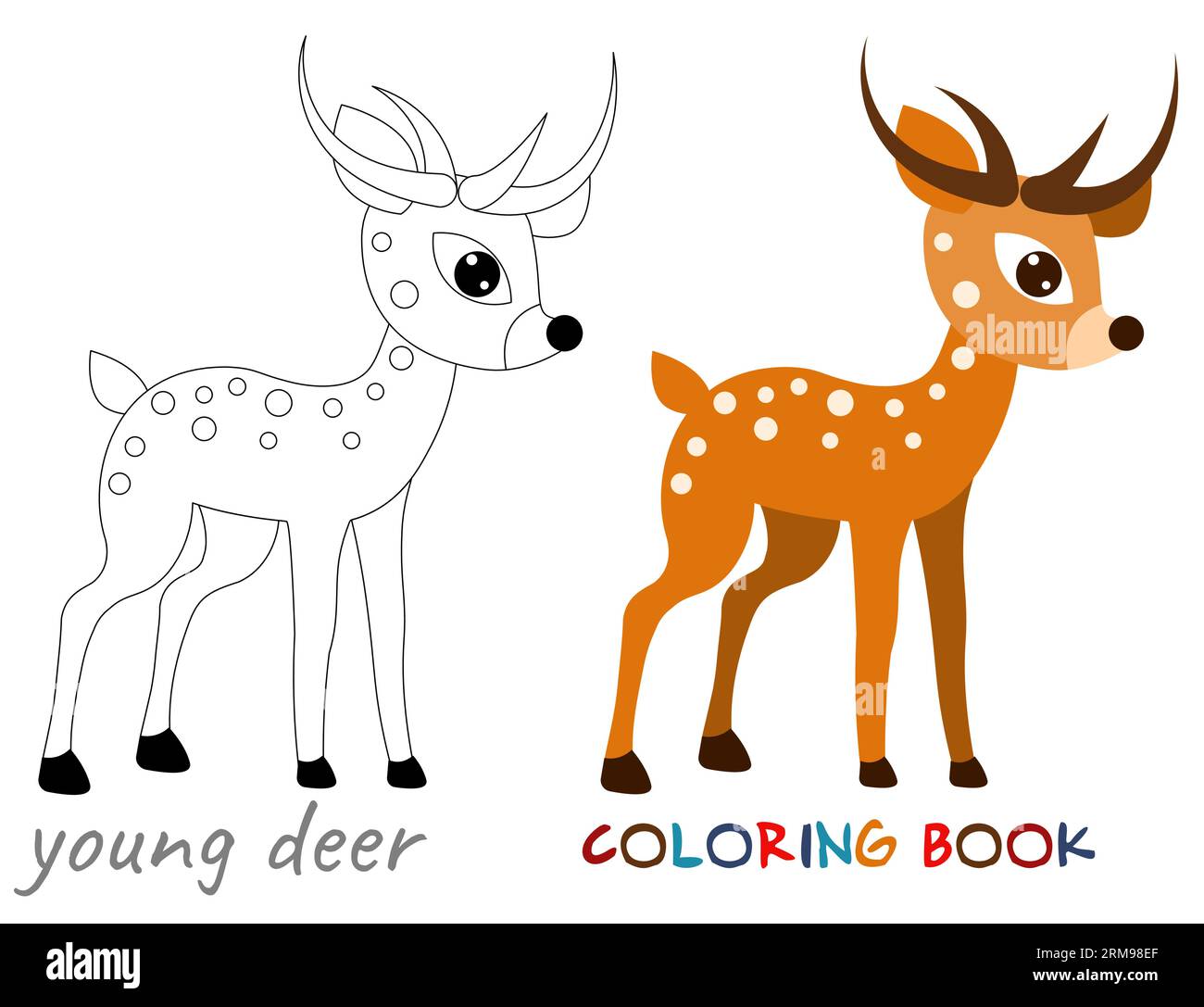 Cute spotted young deer. Forest animals. Coloring book for children ...
