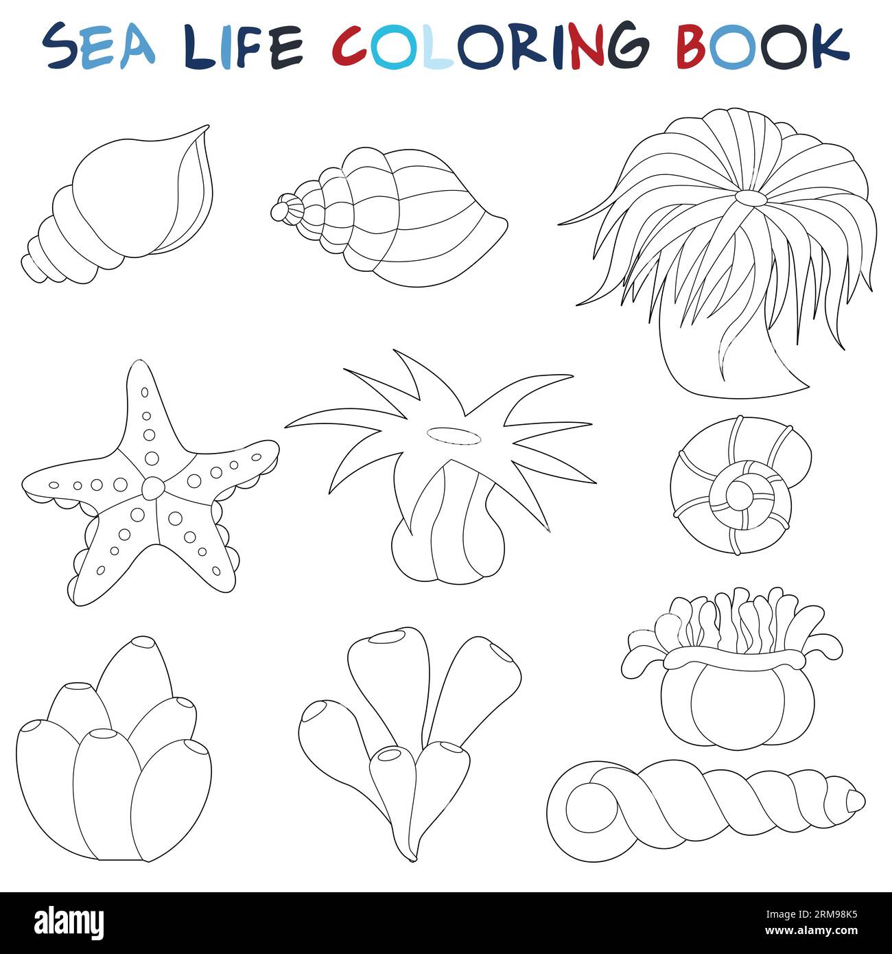 Anemone, starfish and seashells. Original coloring pages of the ...