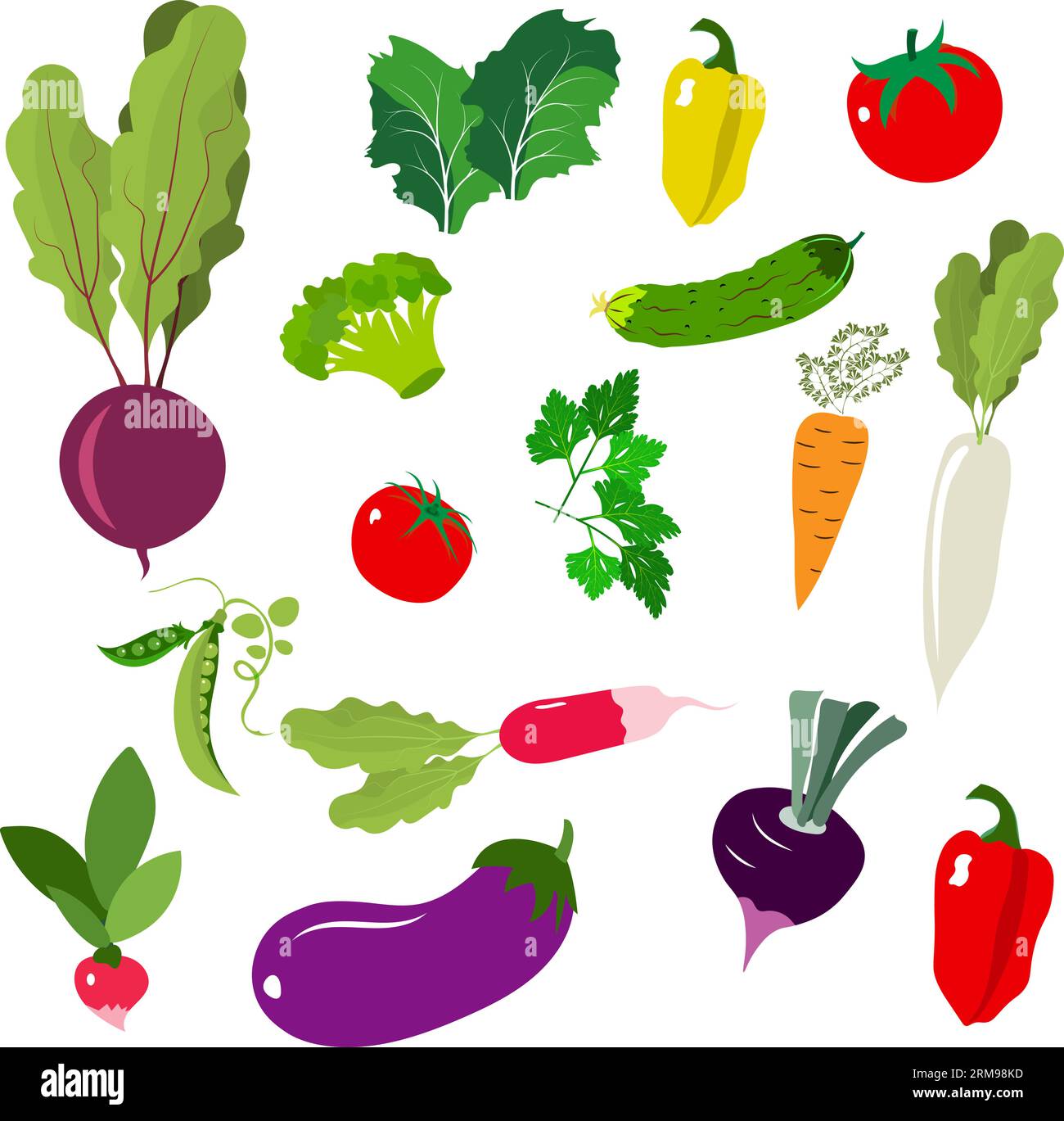 Farmer's market poster. Various fresh bright vegetables. Farmers market ...