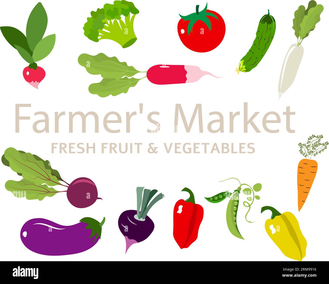 Farmer's market poster. Gray inscription between fresh bright ...