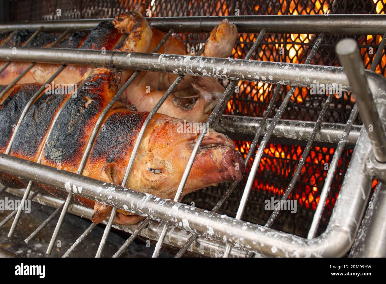 Close-up of a whole pig being roasted on an open charcoal fire ... Close-up of a whole pig being roasted on an open charcoal fire ...