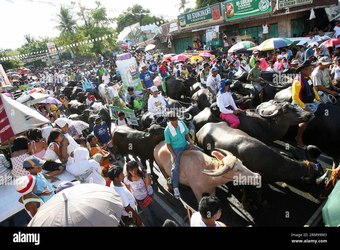 (140514) -- BULACAN PROVINCE, May 14, 2014 (Xinhua) -- Farmers parade ...