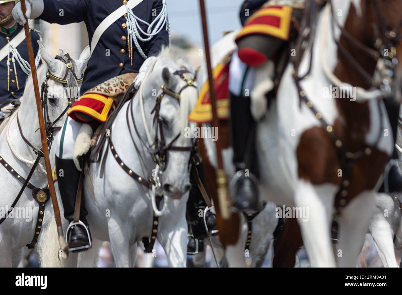 Military shot on horseback hi-res stock photography and images - Alamy