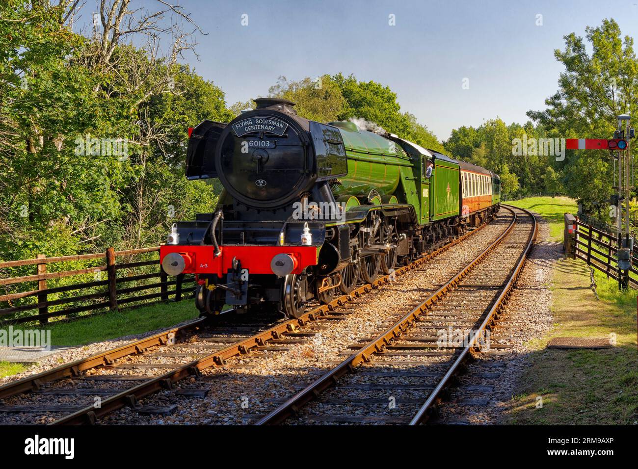 The Flying Scotsman steam locomotive on the Bluebell Line in East ...