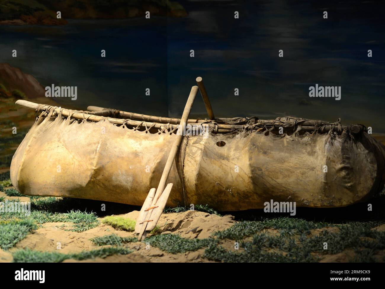 China tibet yak museum hi-res stock photography and images - Alamy