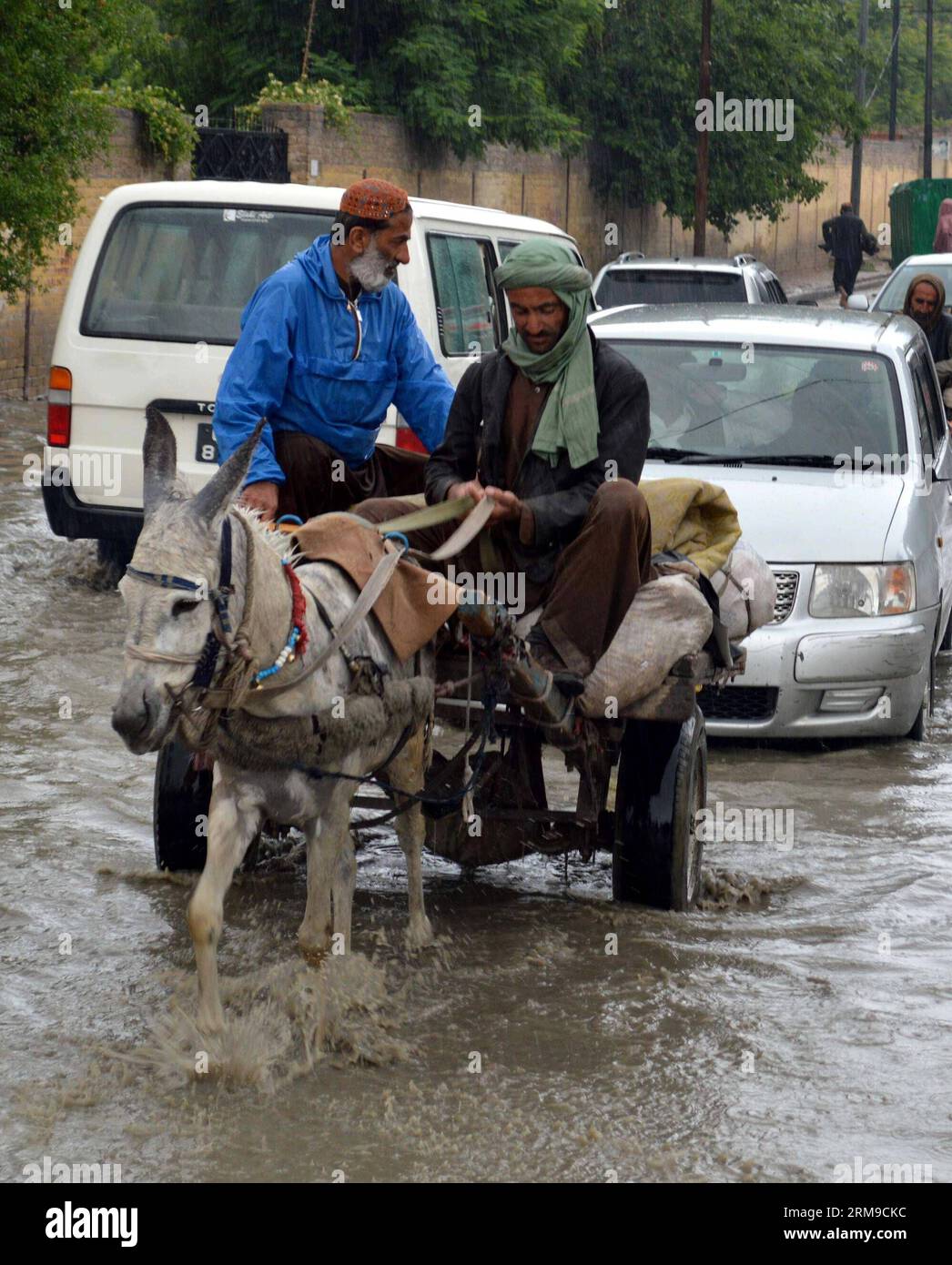 Donkey in rain hi-res stock photography and images - Alamy