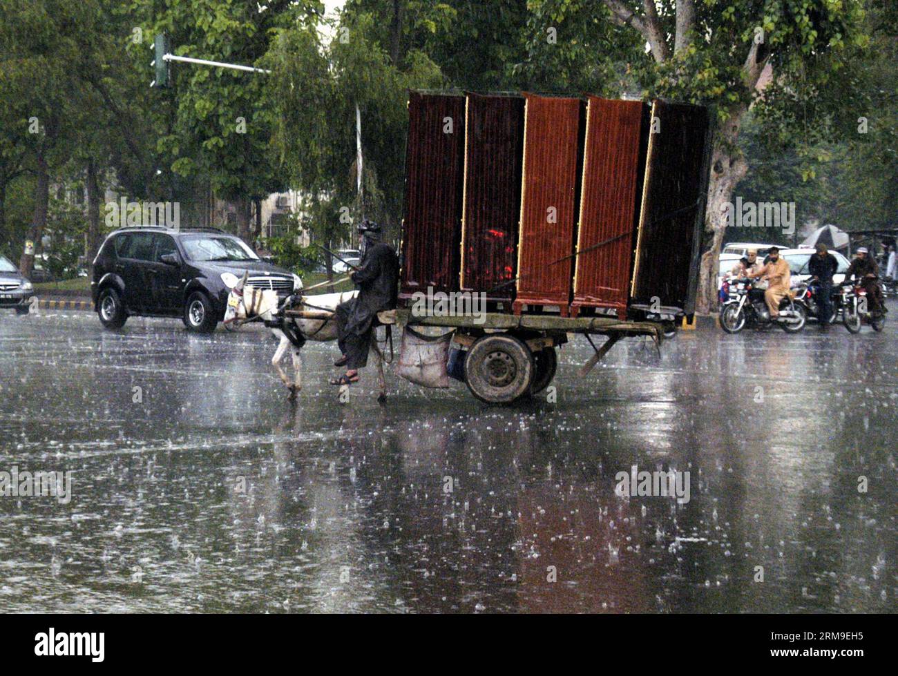 Donkey in the rain hi-res stock photography and images - Alamy