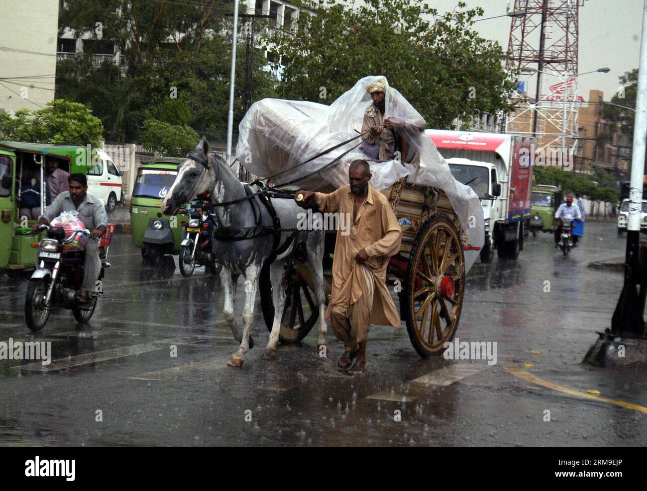 Donkey in the rain hi-res stock photography and images - Alamy