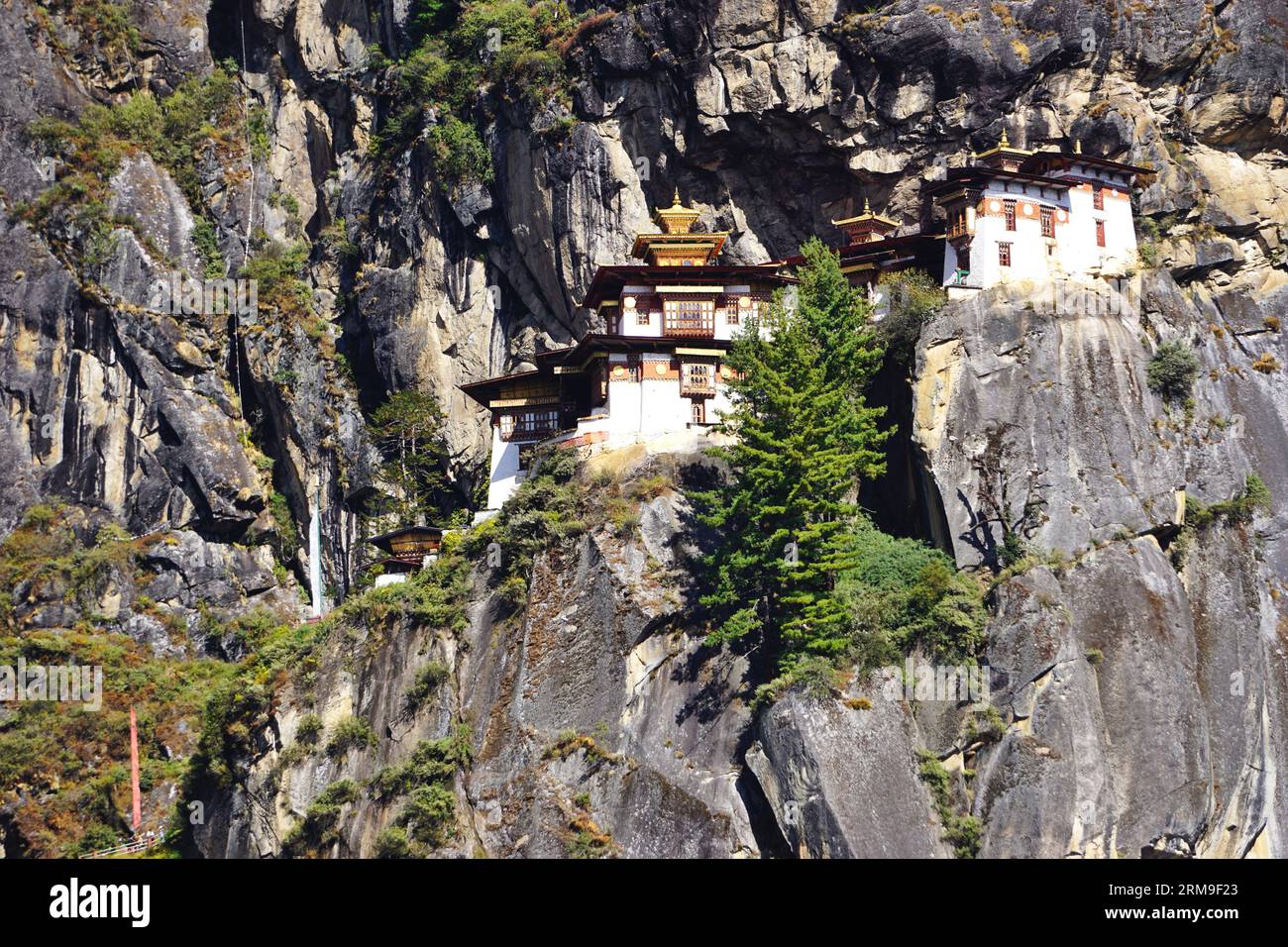 Bhutan's famous Tiger's Nest Monastery (Taktsang) perched atop a ...