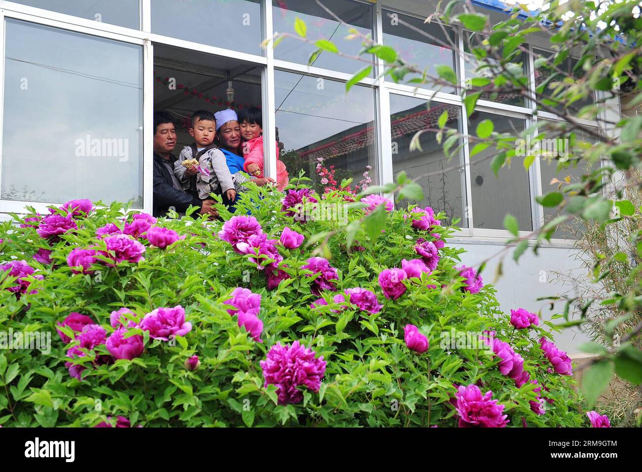 Theimprovement hi-res stock photography and images - Alamy