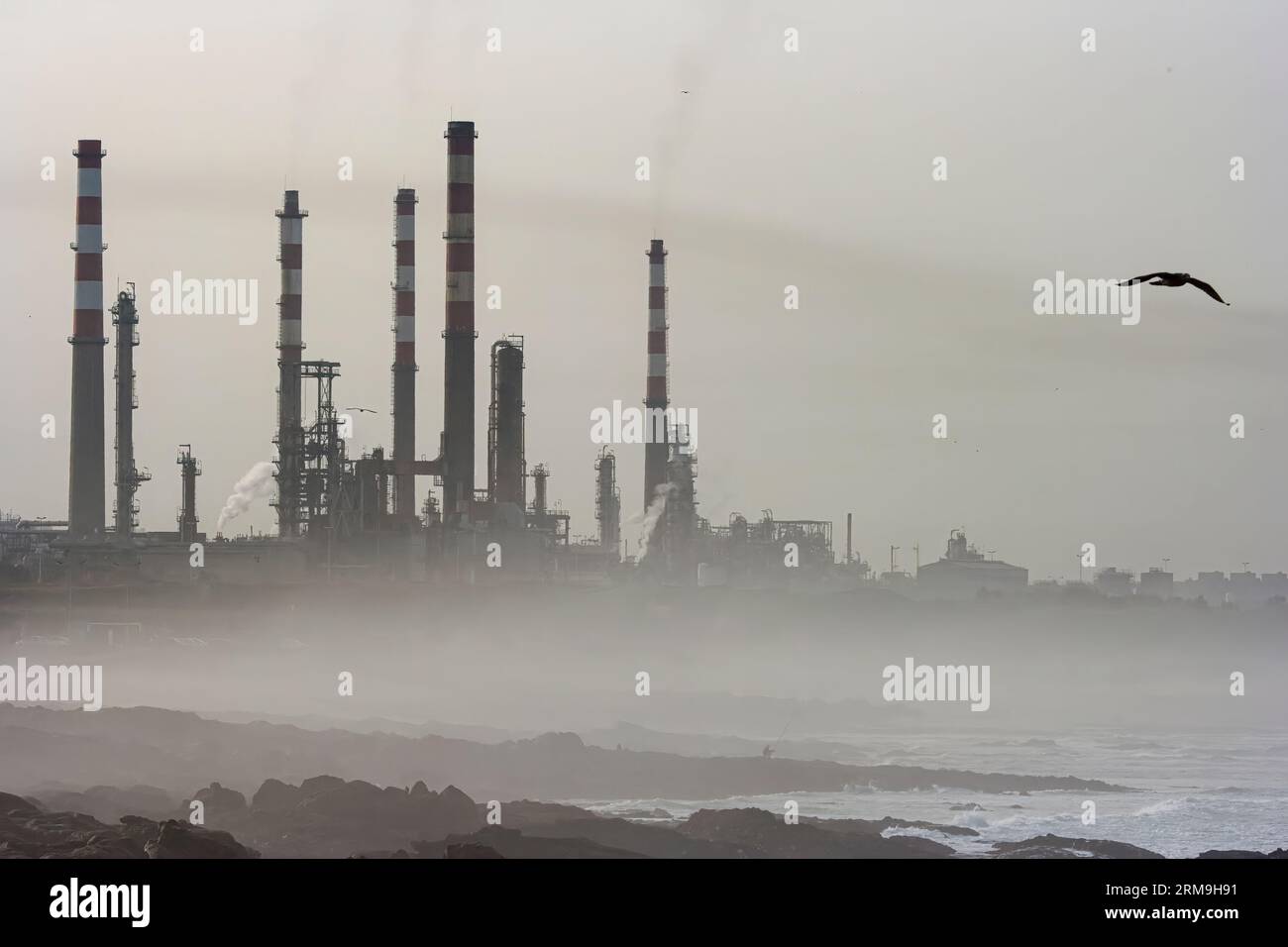 Refinery industrial landscape fog hi-res stock photography and images ...