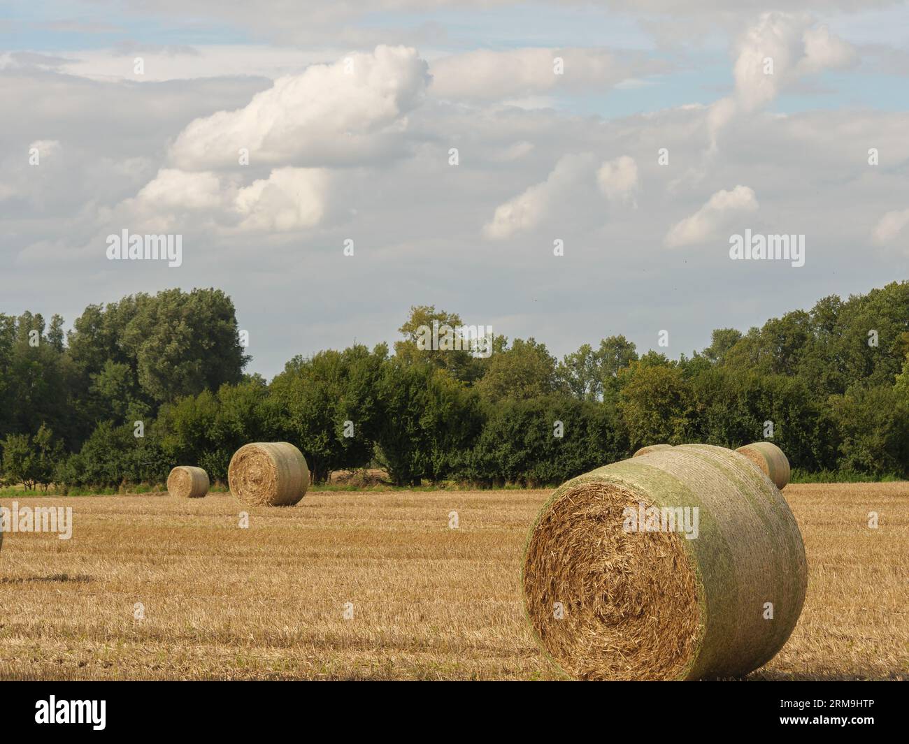 summer time in the german muensterland Stock Photo - Alamy
