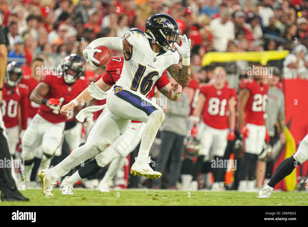 Tampa Bay, Florida, USA, August 26, 2023, Baltimore Ravens Wide ...