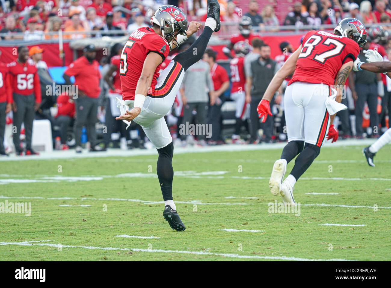 Tampa Bay, Florida, USA, August 26, 2023, Tampa Bay Buccaneers Punter ...