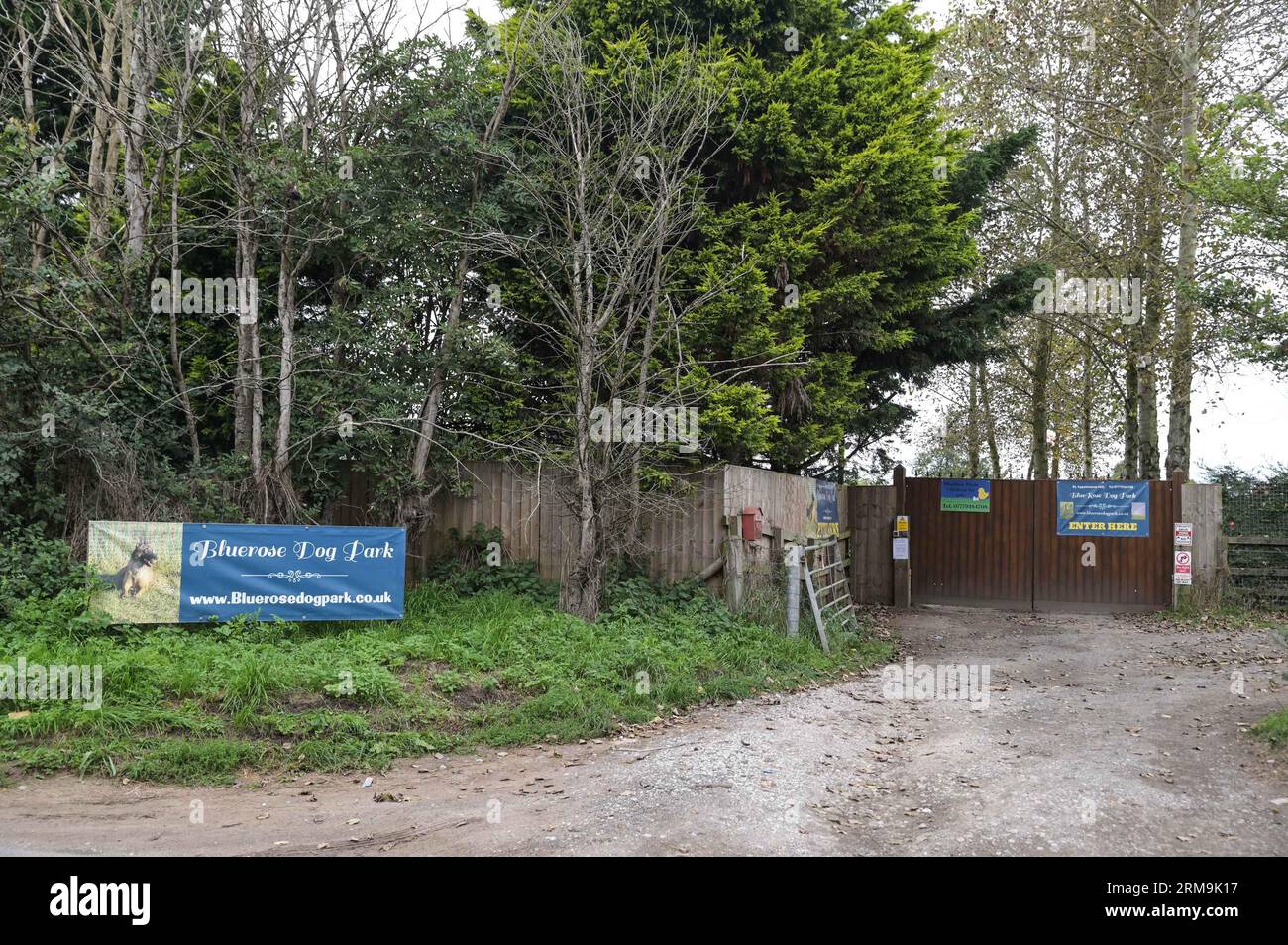 Bluerose dog kennels fire hi-res stock photography and images - Alamy