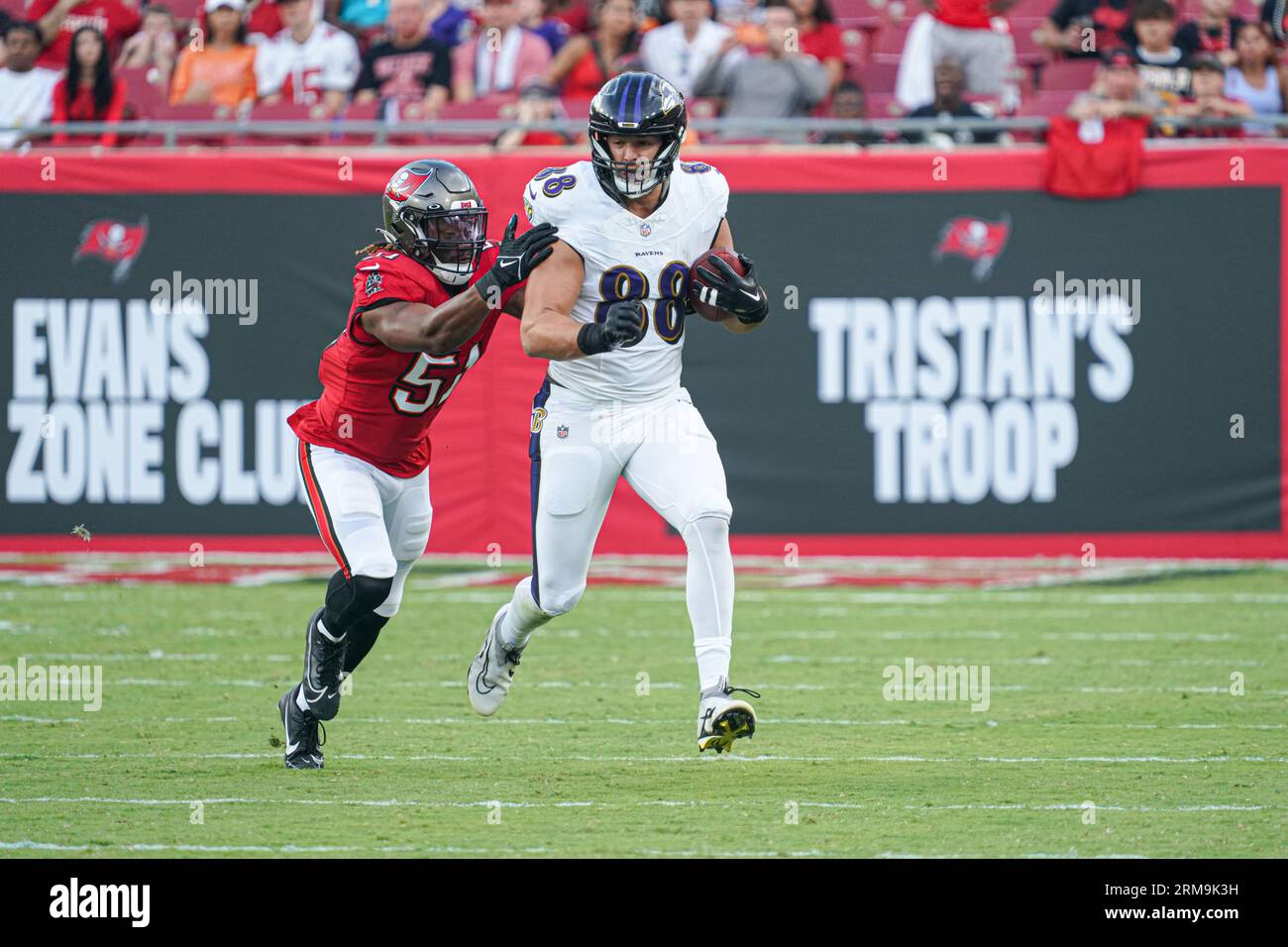 Tampa Bay, Florida, USA, August 26, 2023, Baltimore Ravens Tight End ...